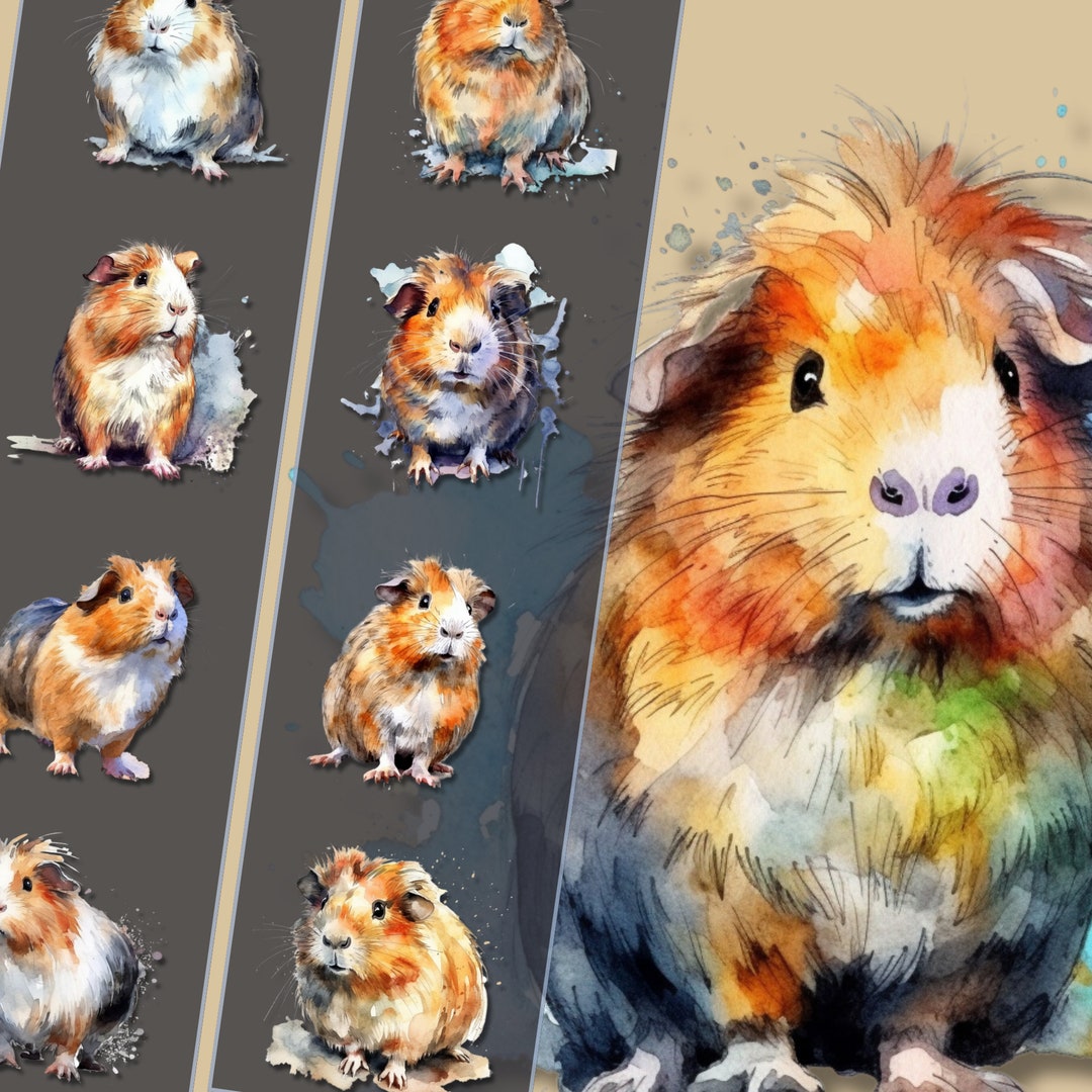Guinea Pig Clipart Bundle - High-resolution PNG Files, Instant Download ...