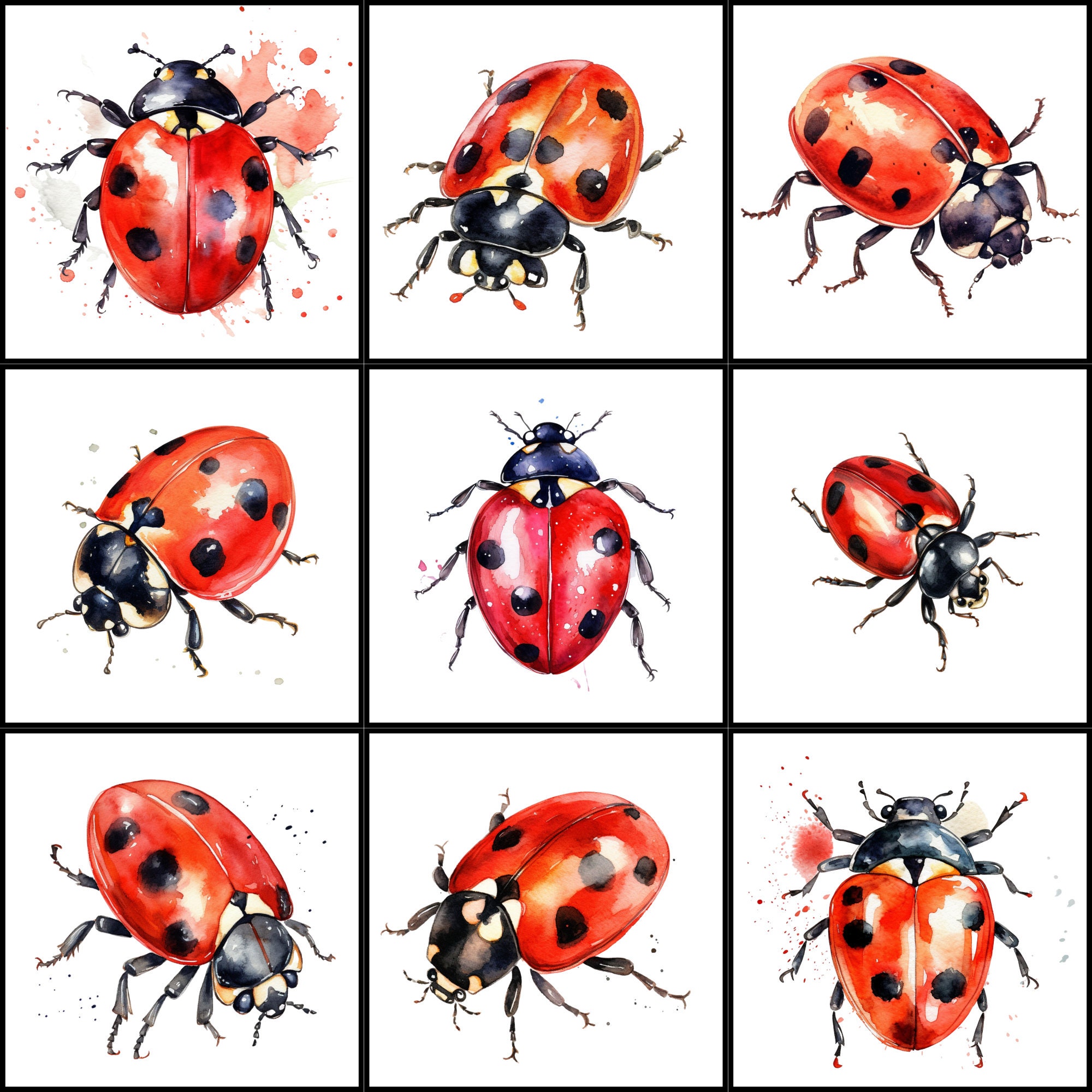 Ladybug Clipart in Lovely Ladybugs Watercolor Collection Charming ...