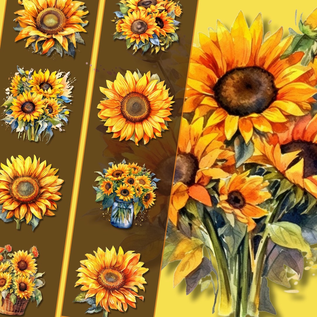 Sunflower Clipart Bundle Floral Illustrations PNG Files Instant Digital ...