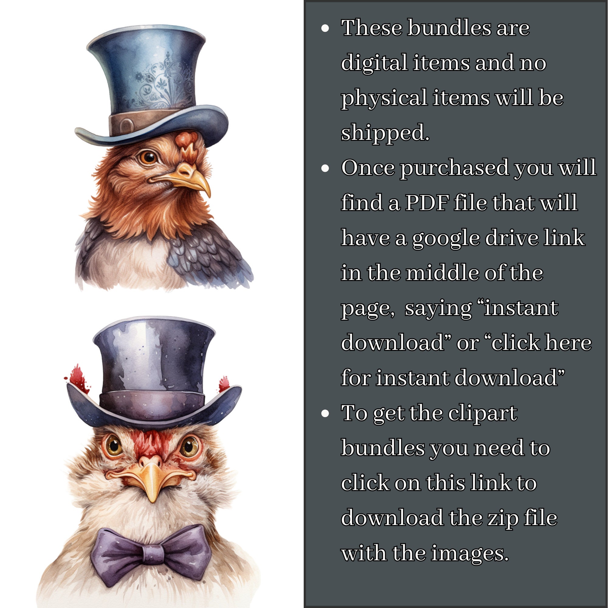 Chicken in Tophat Clipart Bundle PNG Format Artistic - Etsy