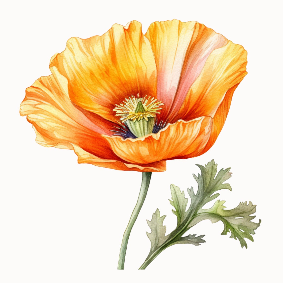California Poppy Clipart Bundle High-resolution PNG Files - Etsy