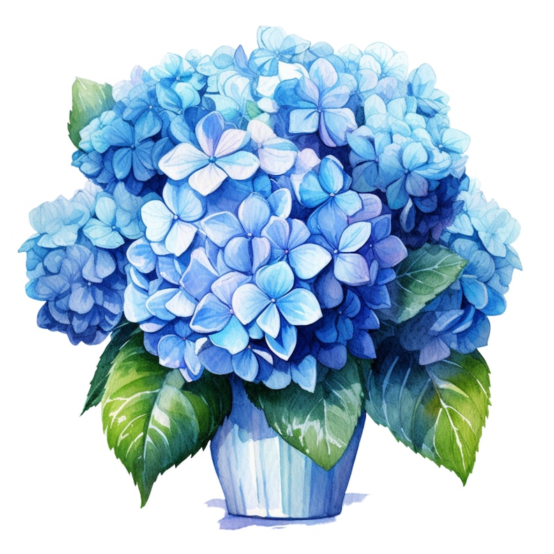 Blue Hydrangea Clipart Bundle High-resolution PNG Files - Etsy