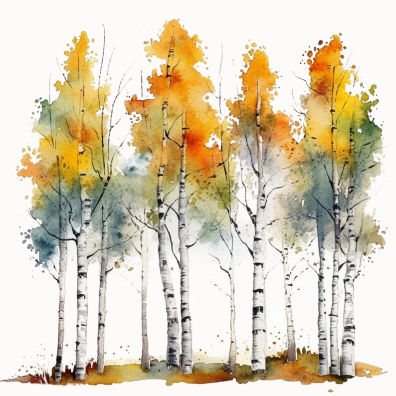 Fall Birch Tree Clipart Collection PNG Graphics Perfect for - Etsy