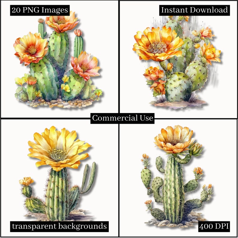 Saguaro Cactus Blossom Clipart Bundle PNG Files, Instant Download ...
