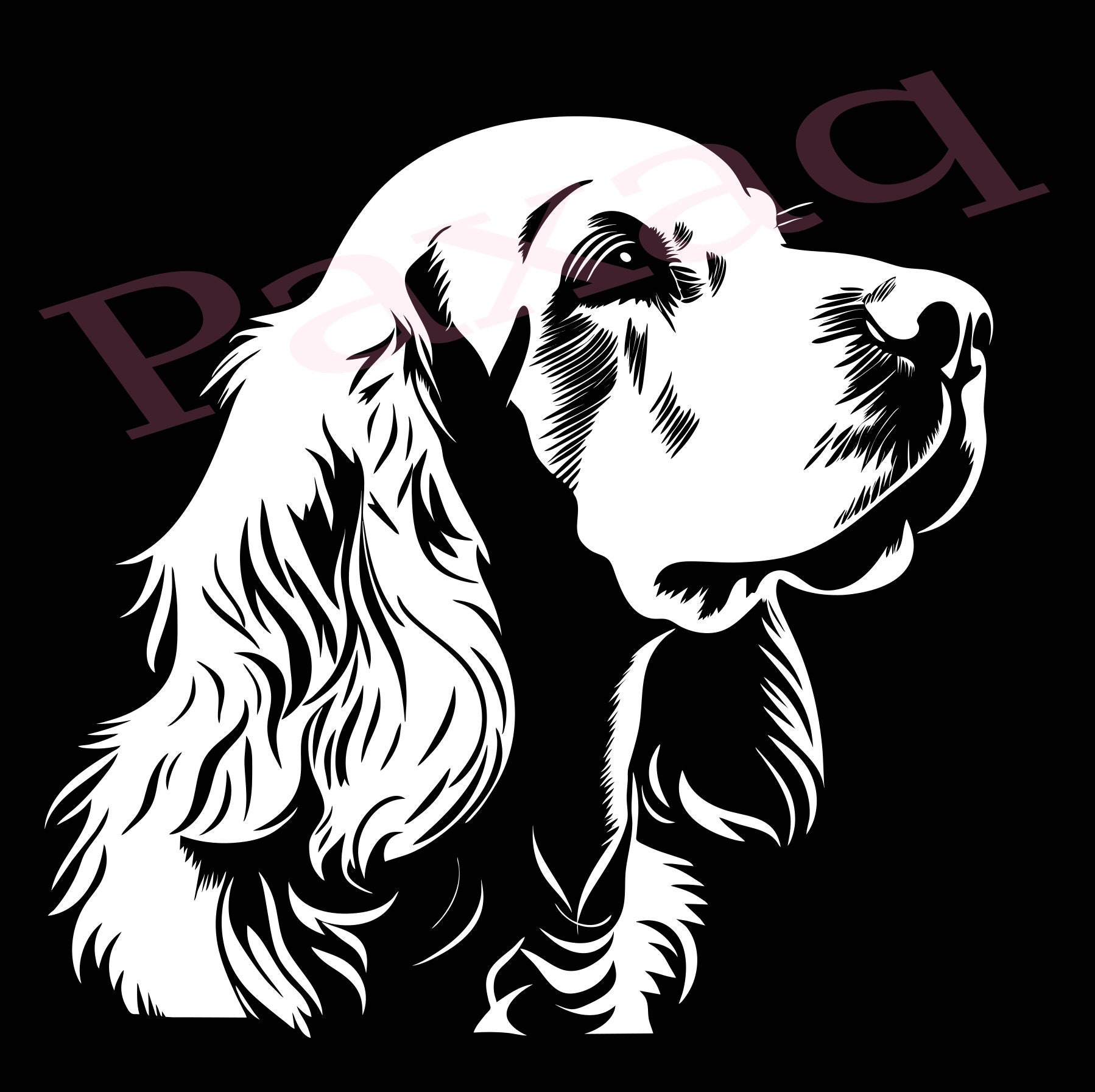 American Cocker Spaniel Svg, Lovely American Cocker Spaniel Vector, Jpg ...