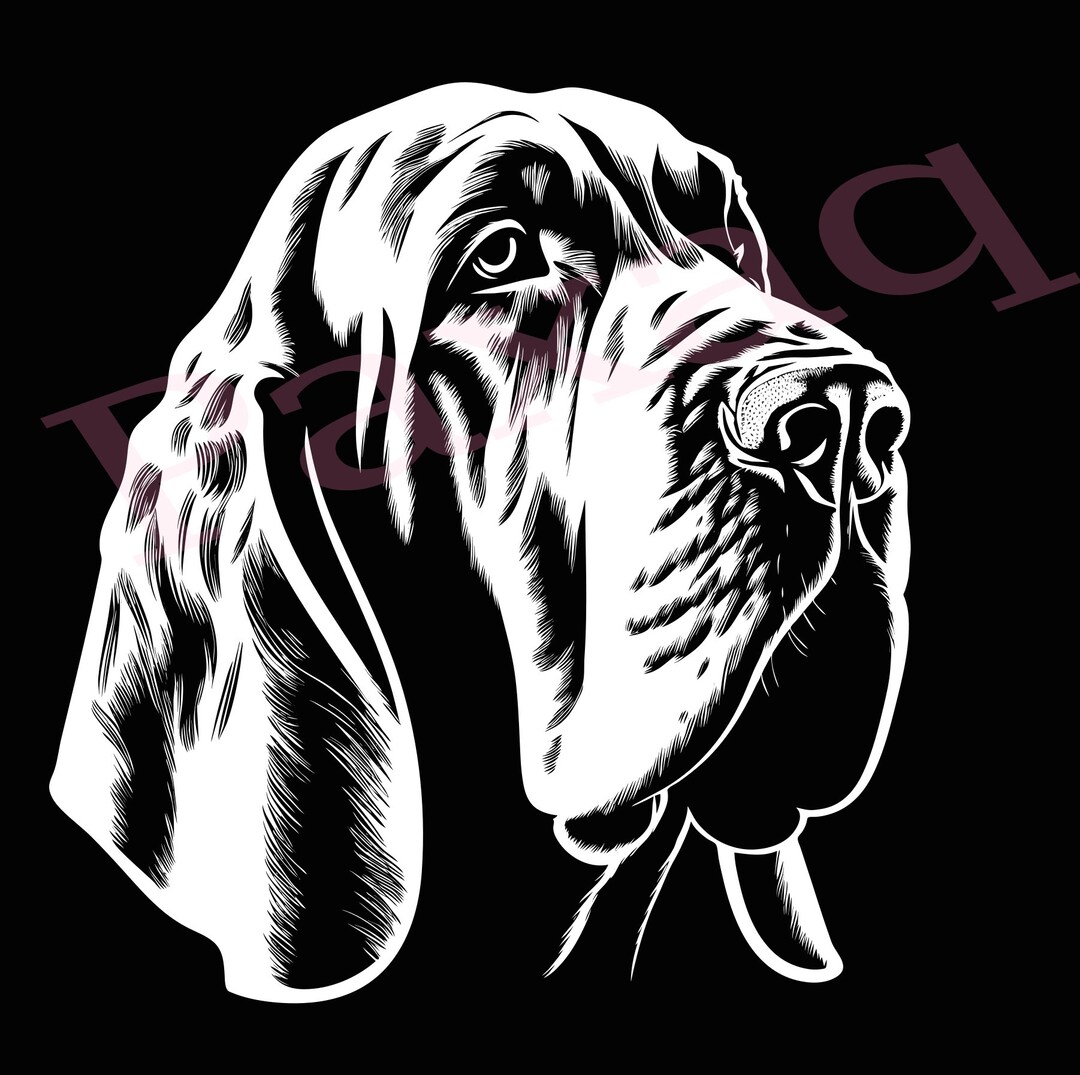 Bloodhound Svg, Sharp-nosed Bloodhound Vector, Jpg Png Pdf Svg for T ...