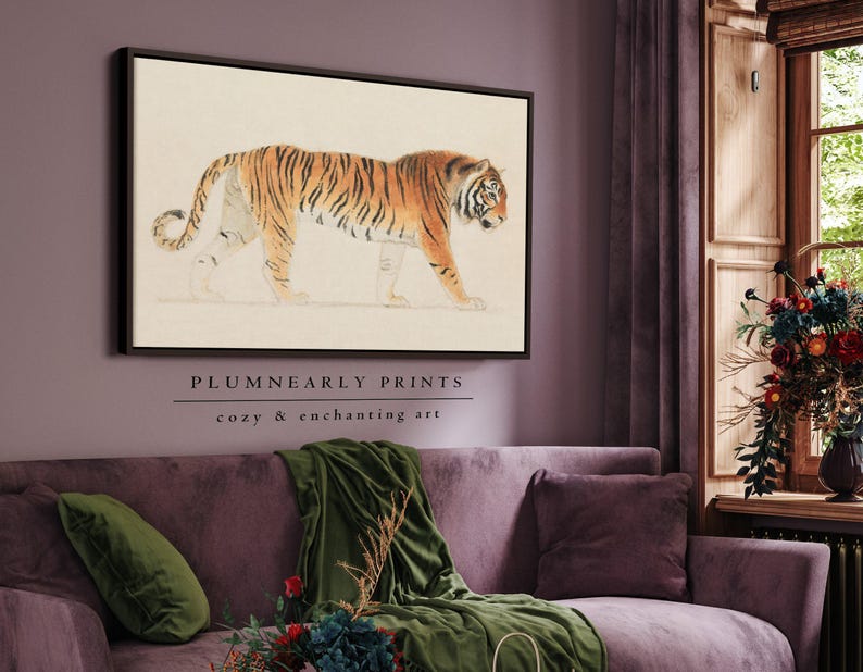 Stothard Tiger Animal Illustration Watercolor Painting Framed Canvas ...