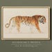 Stothard Tiger Animal Illustration Watercolor Painting Framed Canvas ...