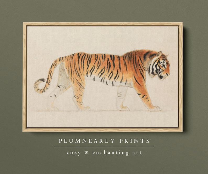 Stothard Tiger Animal Illustration Watercolor Painting Framed Canvas ...