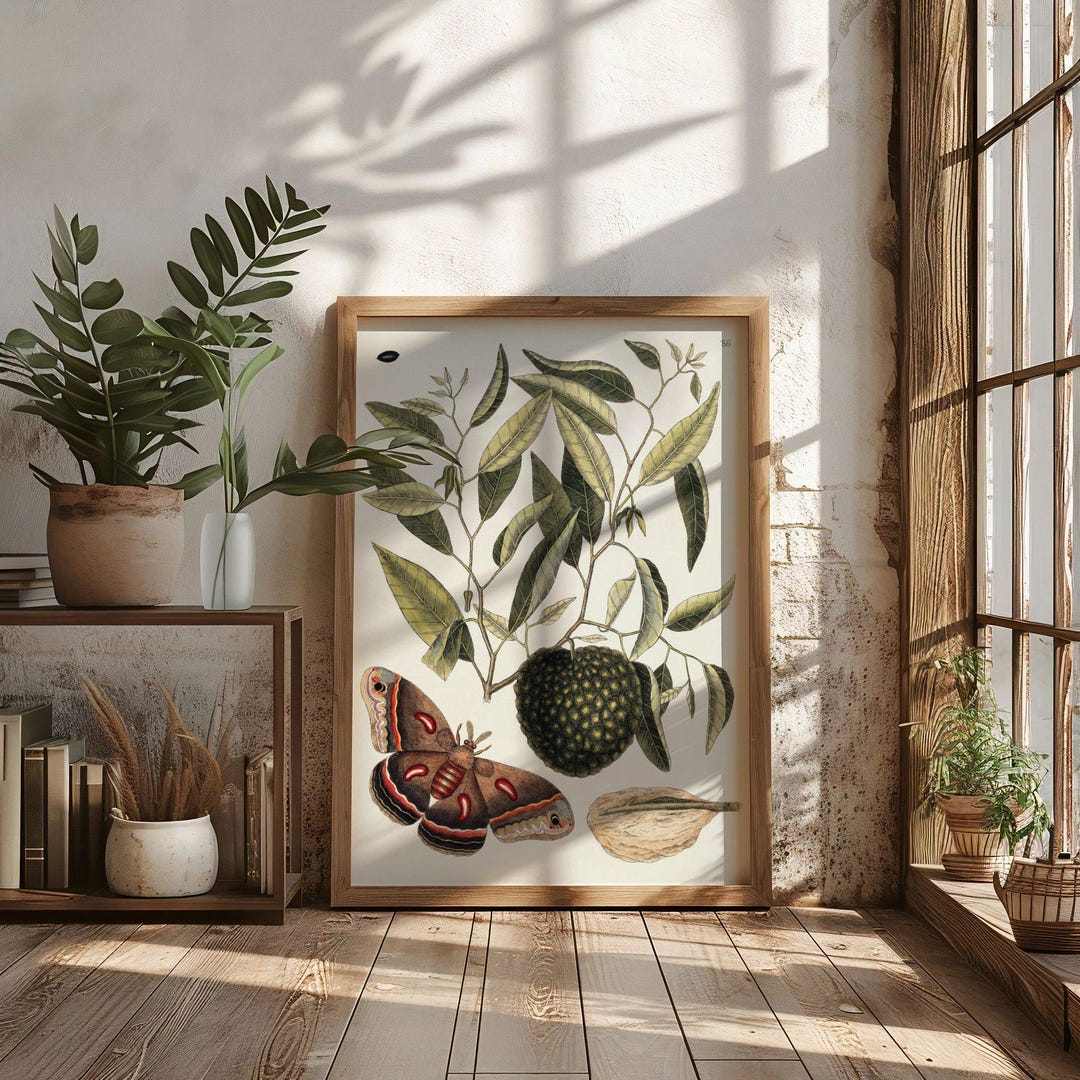 Monarch Butterfly and Cherimoya Fruit Illustration Art Print Poster ...
