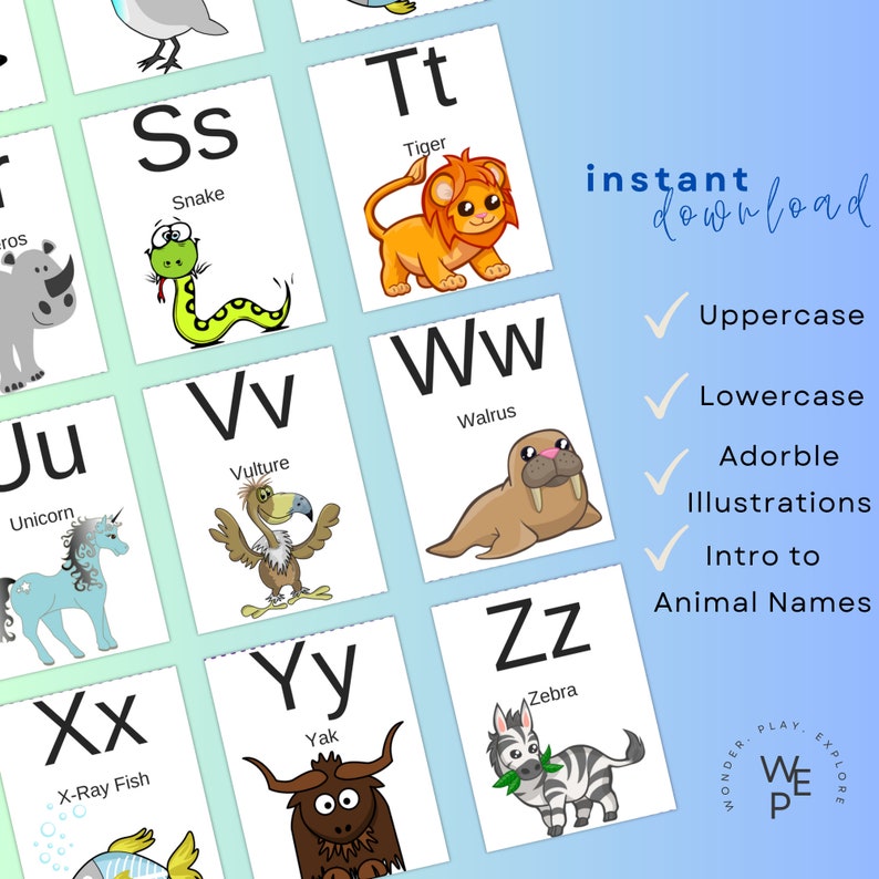 26 Animal ABC ALPHABET Flashcards Printables Homeschool - Etsy