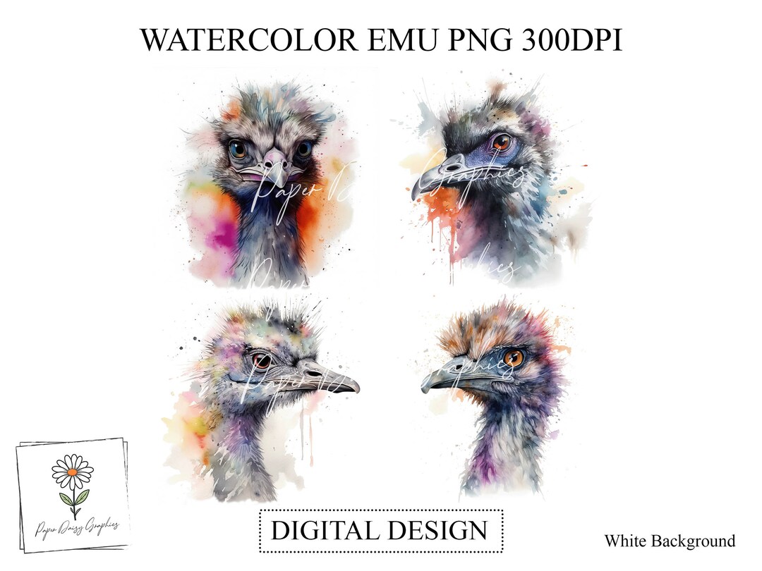 Emu Watercolor Wall Art, Emu, Emu Sublimation, Emu Printable, Emu ...