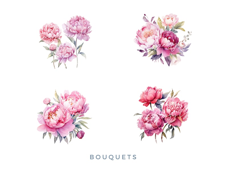 Watercolor Peonies Clipart | Peonies Clipart | Peonies Bouquets ...
