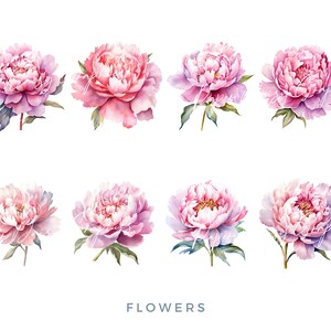 Watercolor Peonies Clipart | Peonies Clipart | Peonies Bouquets ...