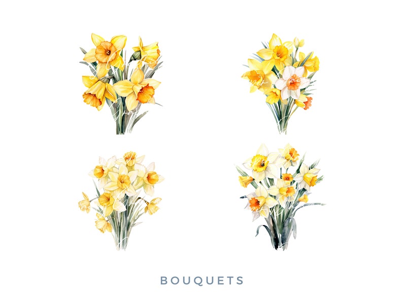 Watercolor Daffodil Clipart | Daffodil Clipart | Daffodil Floral ...