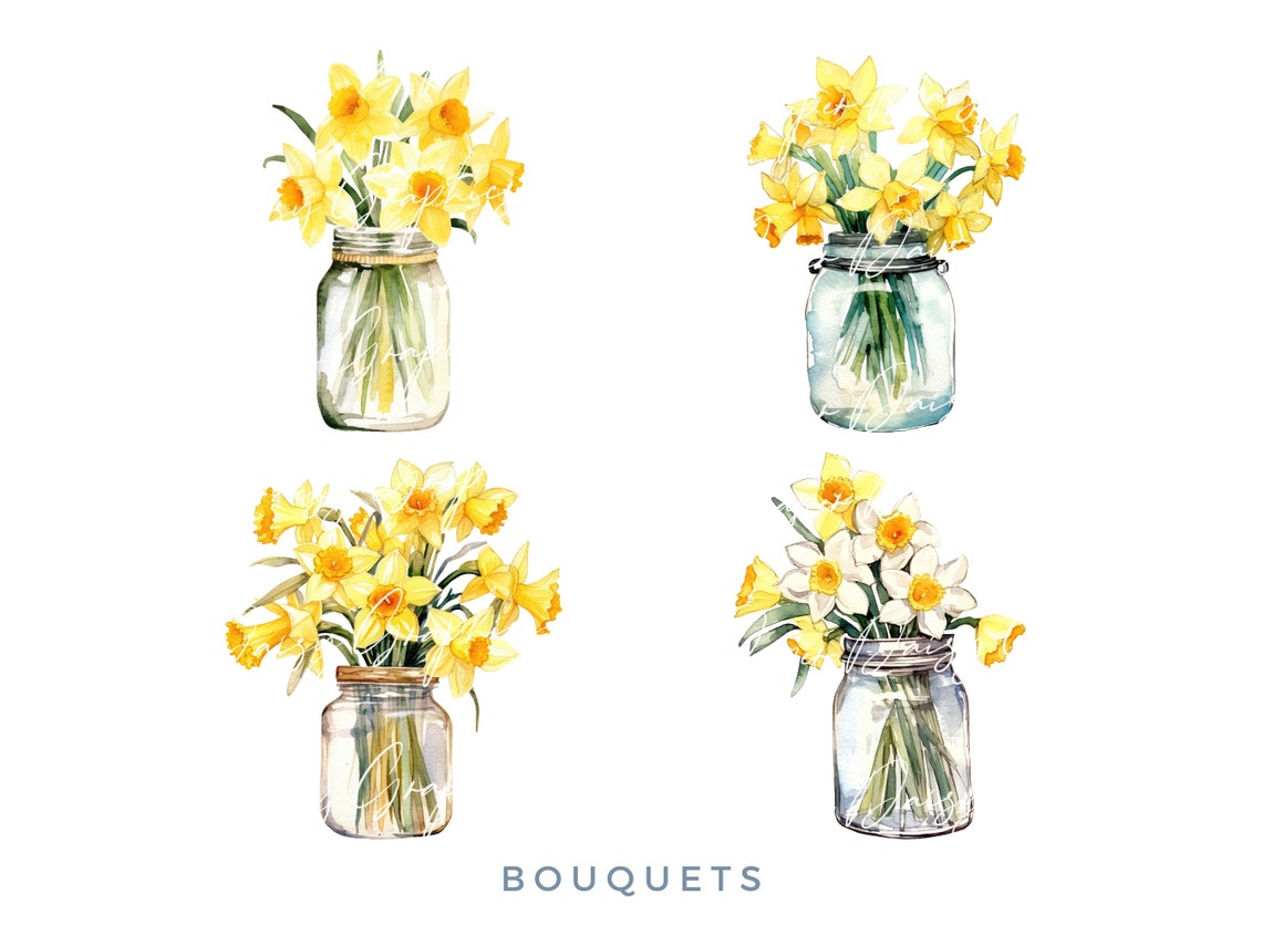 Watercolor Daffodil Clipart | Daffodil Clipart | Daffodil Floral ...
