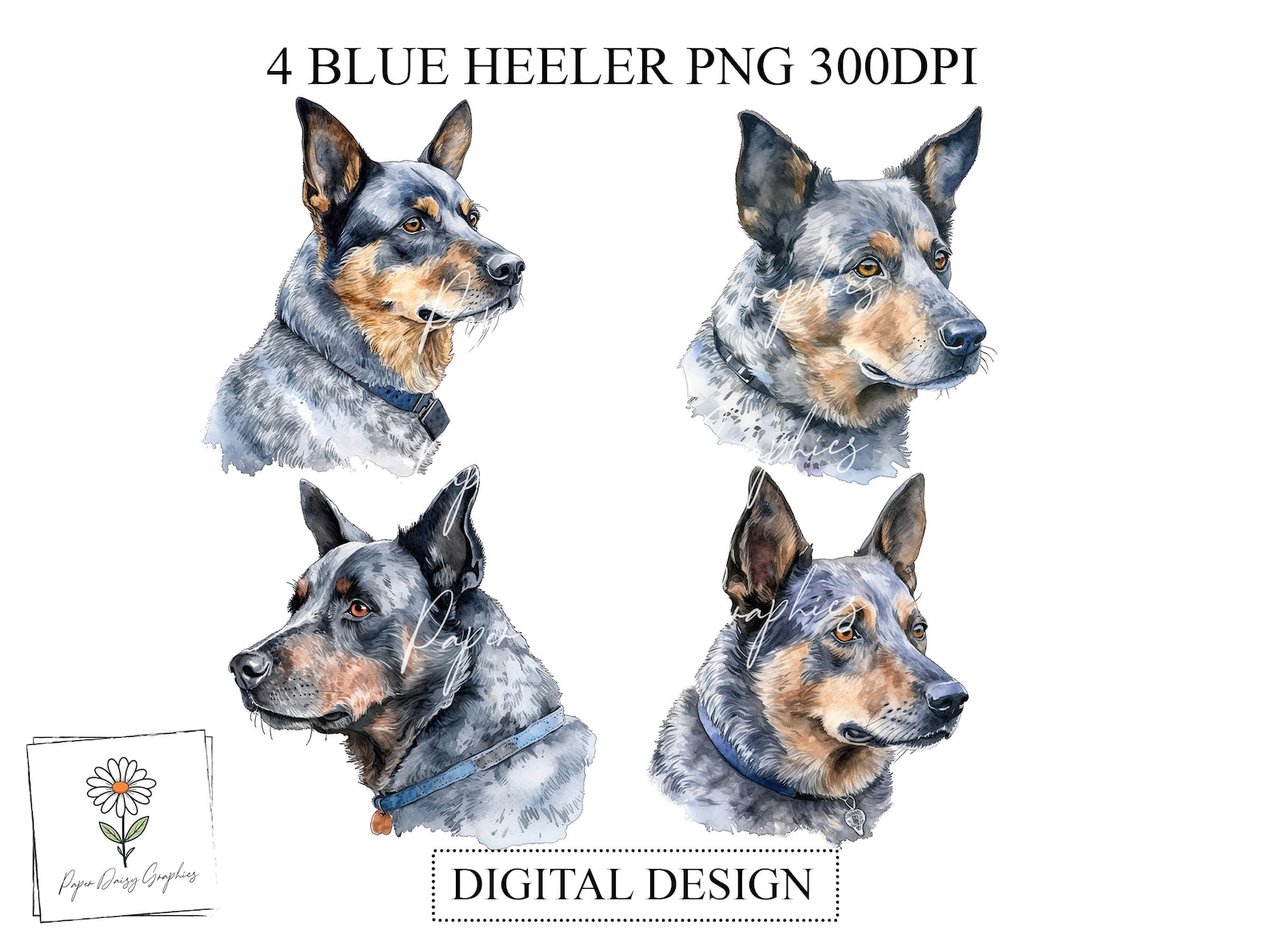 Blue Heeler Watercolor, Blue Heeler PNG, Blue Heeler Sticker, Blue ...