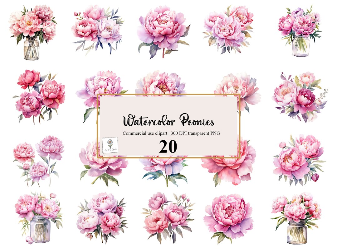 Watercolor Peonies Clipart | Peonies Clipart | Peonies Bouquets ...