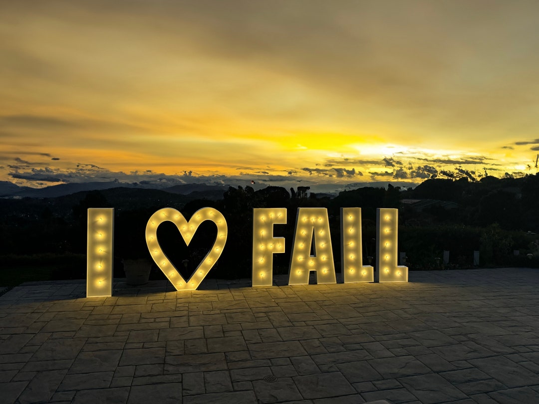 Large Marquee Heart 4ft Tall | Marquee Heart Shape Symbol | Light up ...