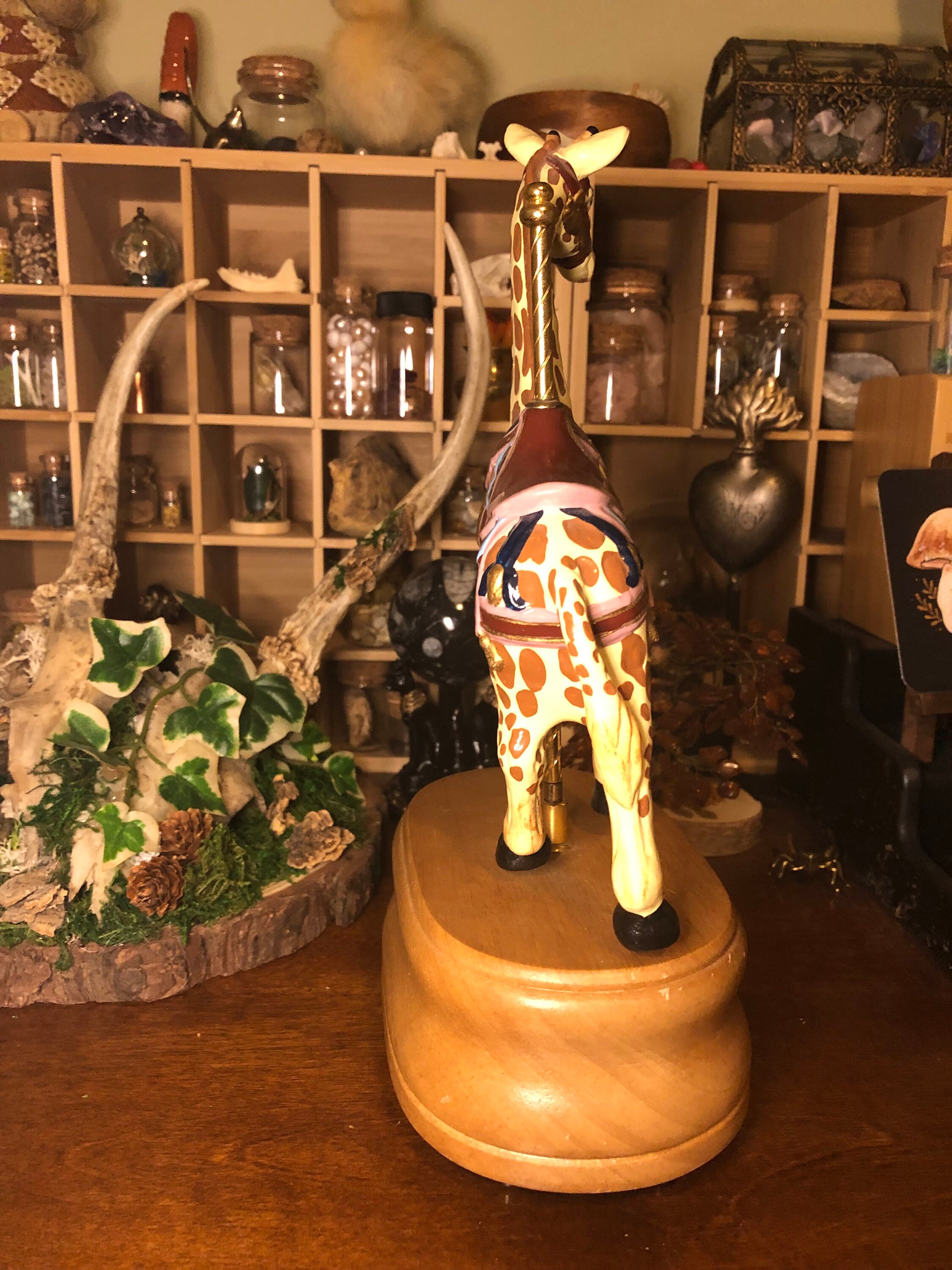 Carousel Giraffe Music Box - Etsy