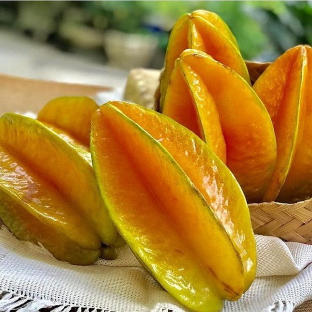 Grafted Averrhoa Carambola Honey Starfruit Fruit Tree Free Phyto Fast ...