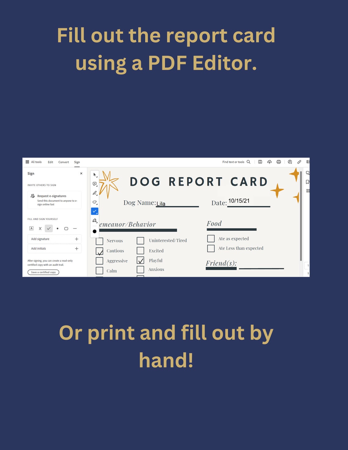 Dog Report Card Stars Edition, for Doggy Day Care and Dog Sitting ...