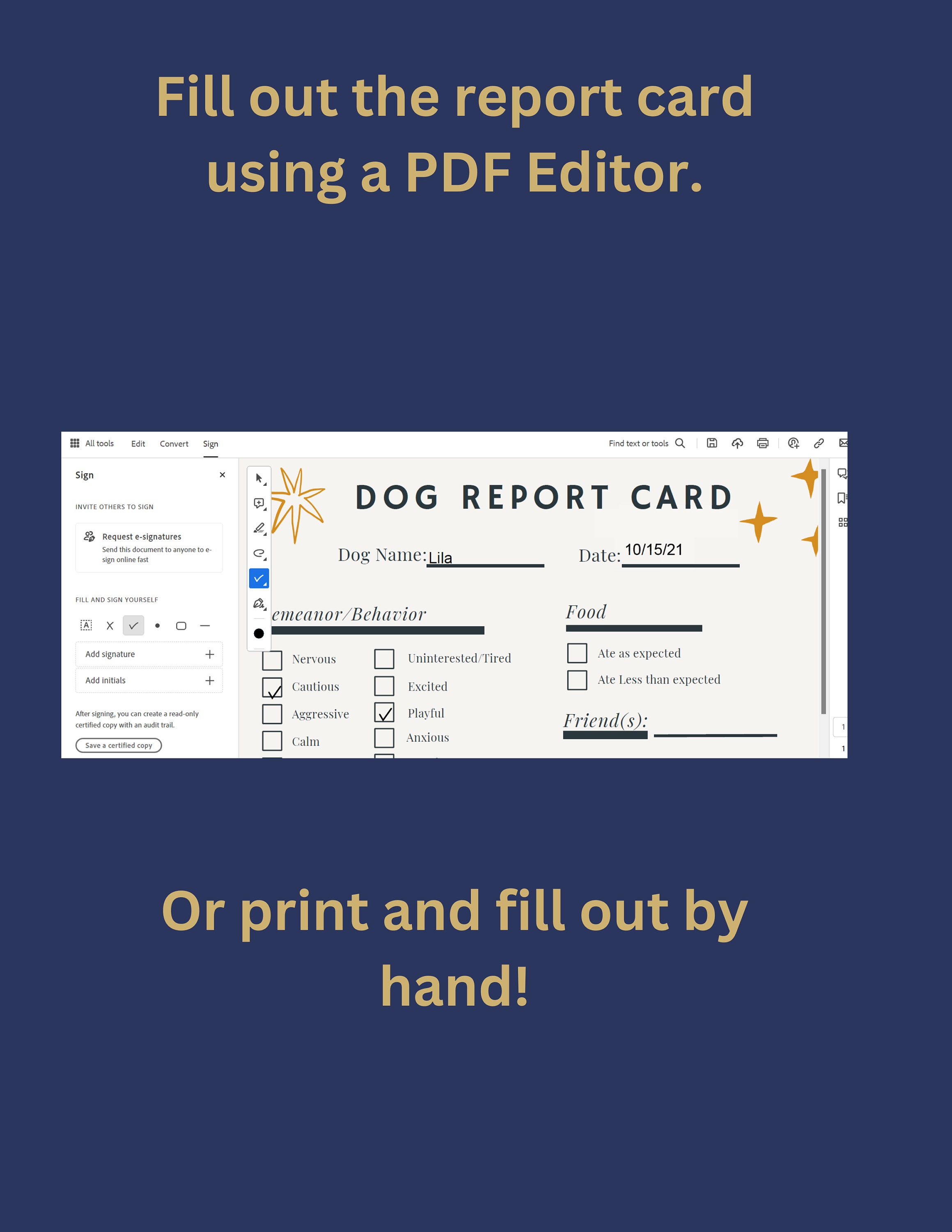 Dog Report Card Stars Edition, for Doggy Day Care and Dog Sitting ...