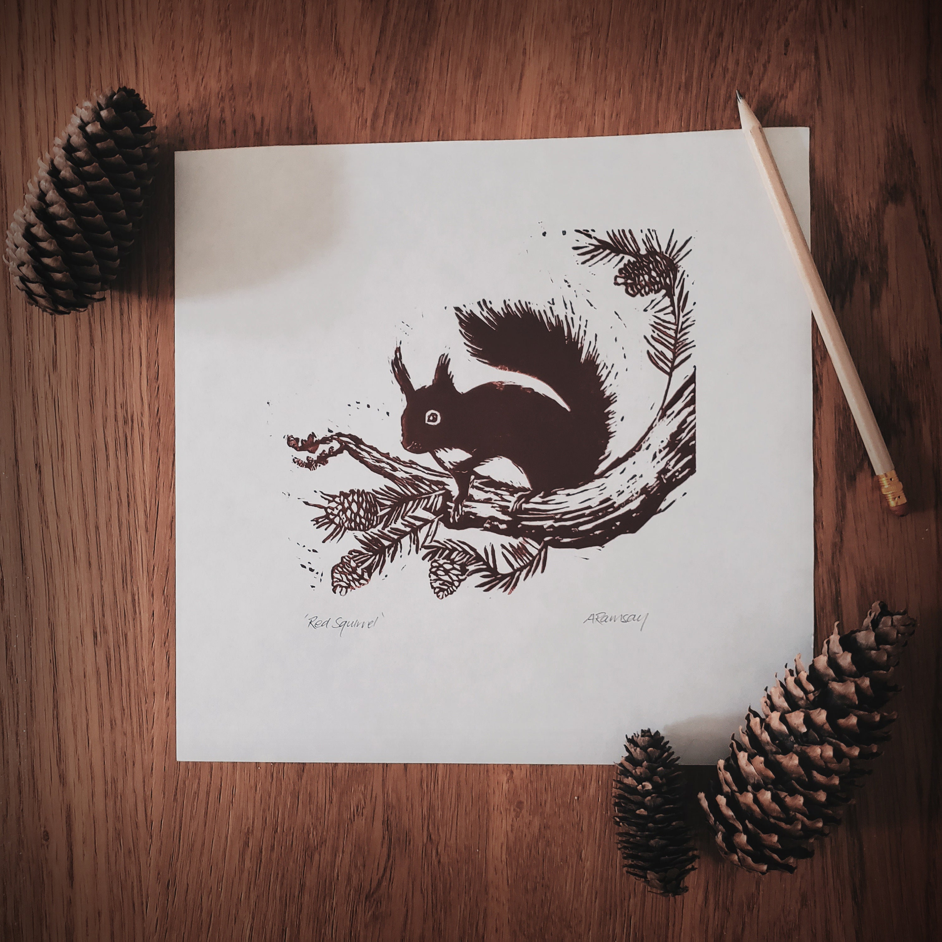 Red Squirrel Linocut // Red Squirrel Print // Squirrel Print - Etsy