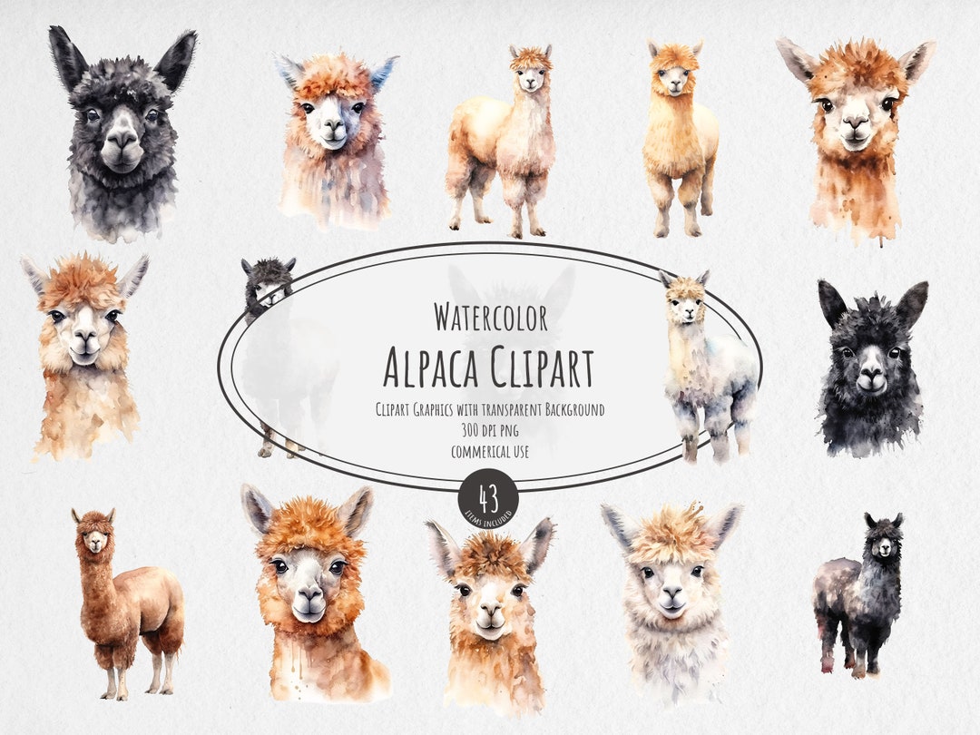 Watercolor Alpacas - Digital Cliparts in High Resolution, Instant ...