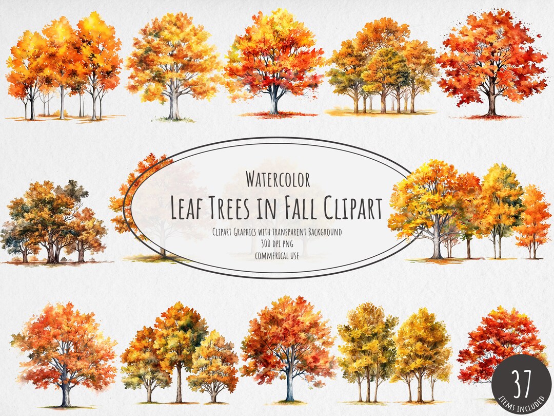 Watercolor Fall Trees Digital Cliparts in High Resolution, Instant ...