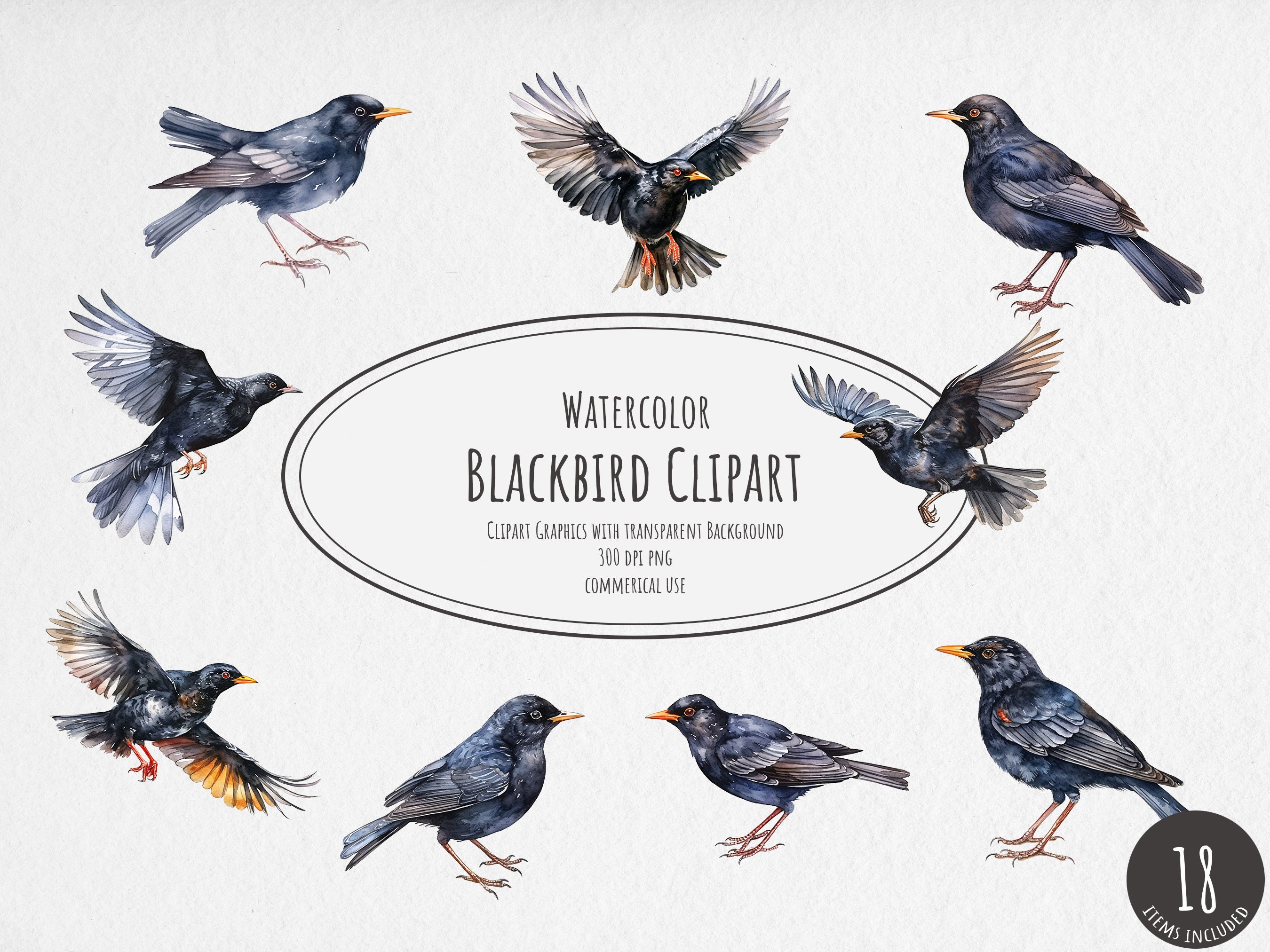 Beautiful Blackbird - Digital Cliparts in High Resolution, Instant ...