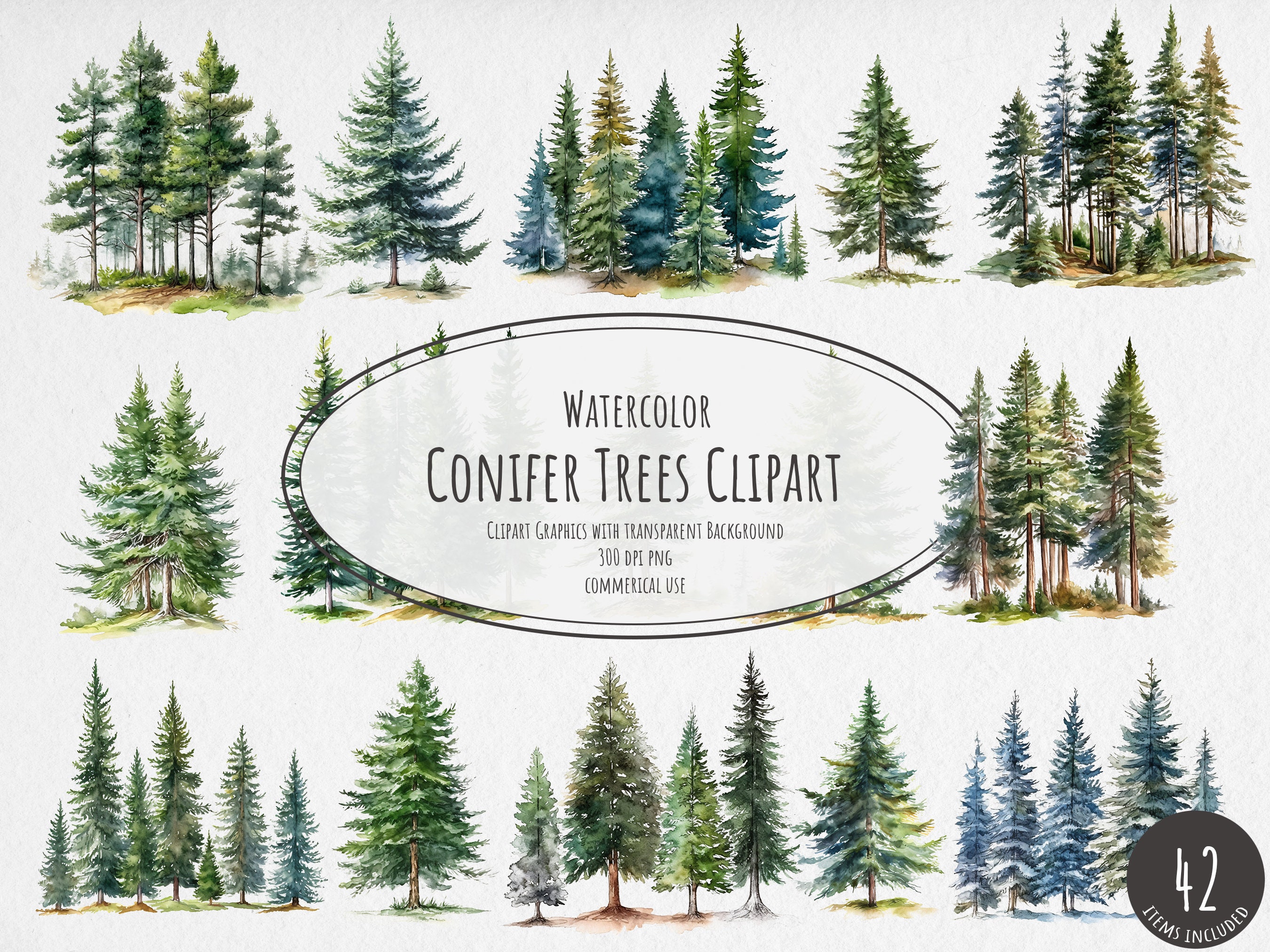 Imágenes Prediseñadas de coníferas acuarela alta resolución - Etsy México