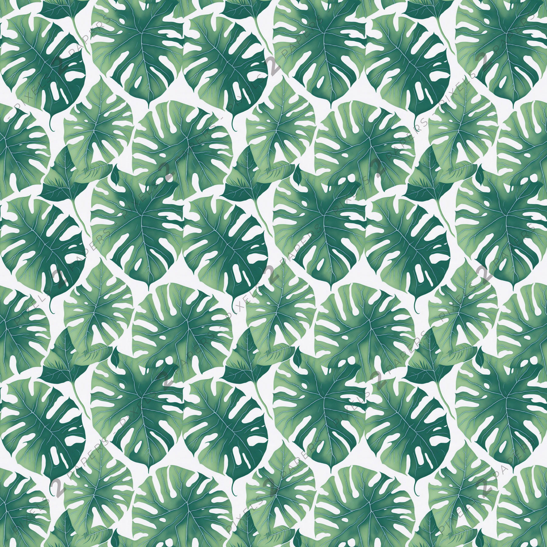 Monstera Leaves, Seamless Digital Papers, Monstera Patterns, Scrapbook ...