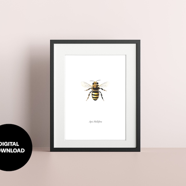 Scientific Bee Print - Etsy