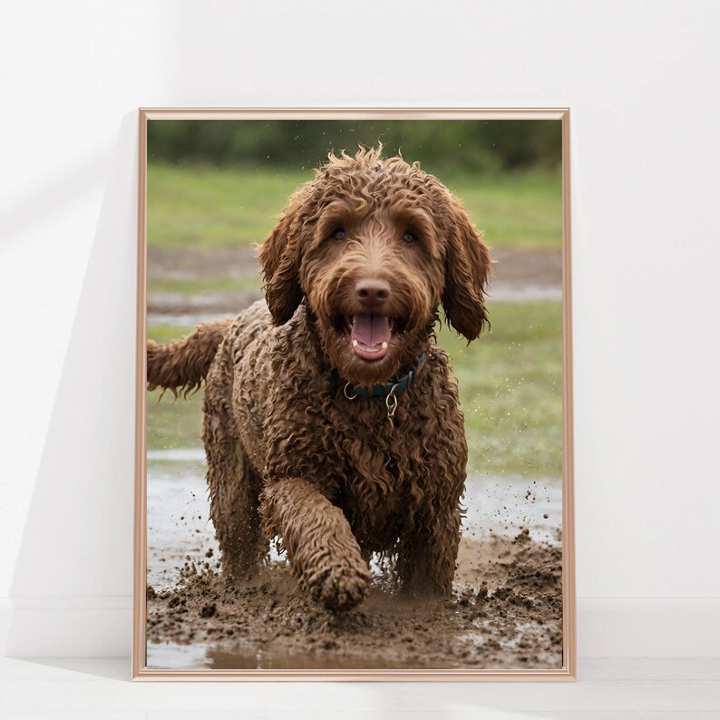 Labradoodle Dog Wall Art Combo, Dog Wall Art Prints, Mother's Day Gift ...