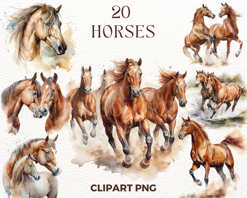 Watercolor Horse Clipart, Wild Horses on the Beach Clipart Bundle ...
