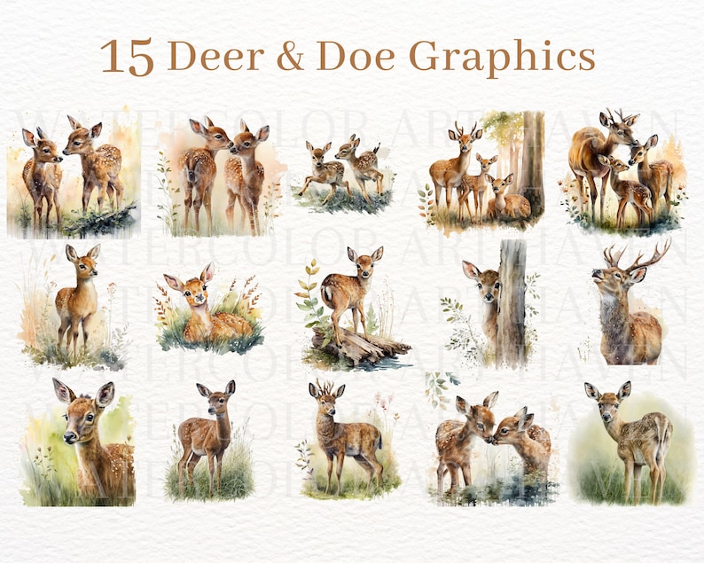 Woodland Animals Clipart Watercolor, Clipart for Commercial Use ...