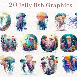 Watercolor Clipart Bundle for Undersea Creatures Jellyfish Sharks ...