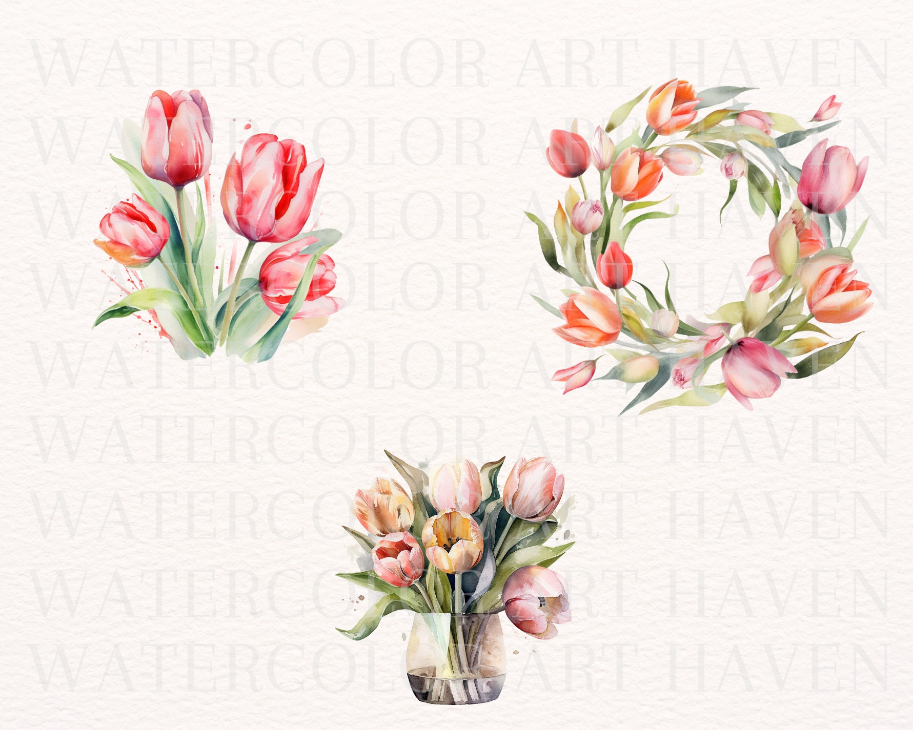 Watercolor Tulip Clipart Bundle PNG - Commercial Use Clipart, Digital ...