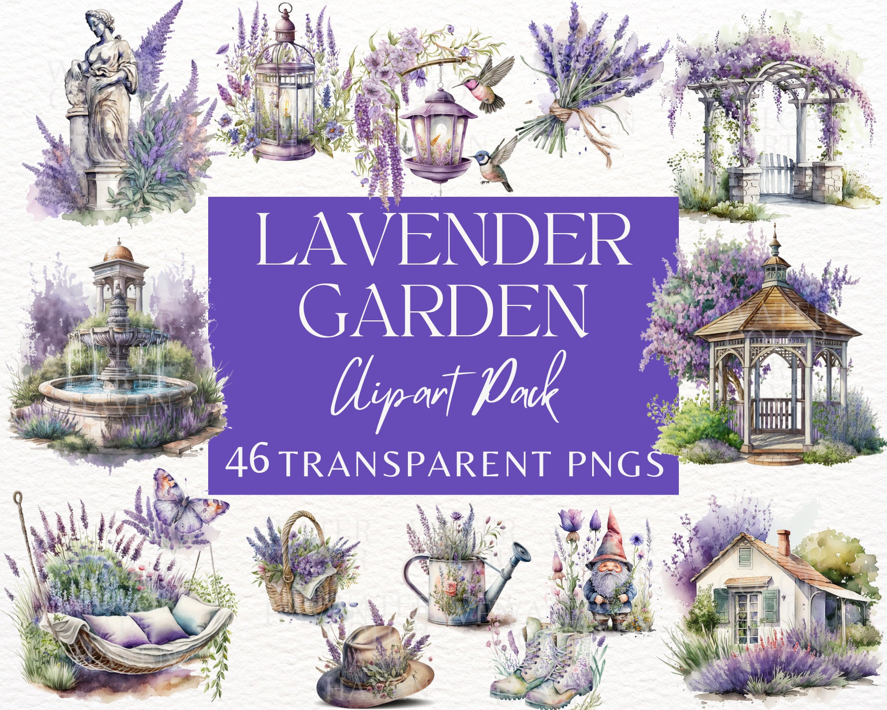 Watercolor Lavender Garden Clipart, Watercolor Lavender PNG, Lavender ...