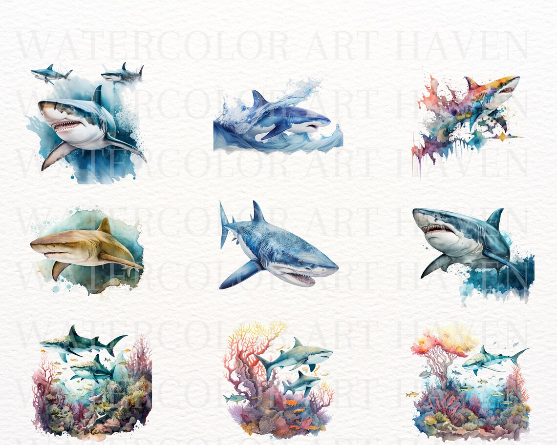 Watercolor Sharks Clipart, Animals, Fish, PNG, Clip Art, Bundle ...