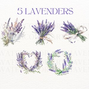 Watercolor Lavender Garden Clipart, Watercolor Lavender PNG, Lavender ...