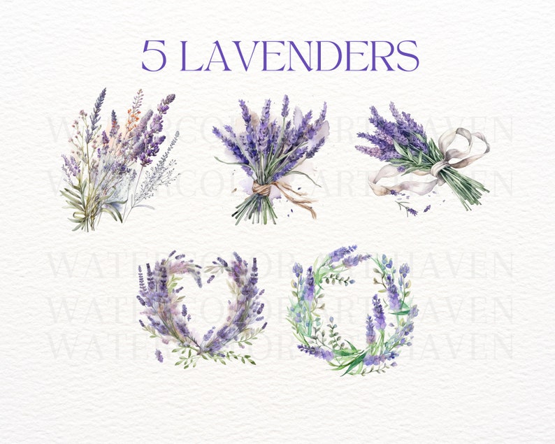 Watercolor Lavender Garden Clipart, Watercolor Lavender PNG, Lavender ...