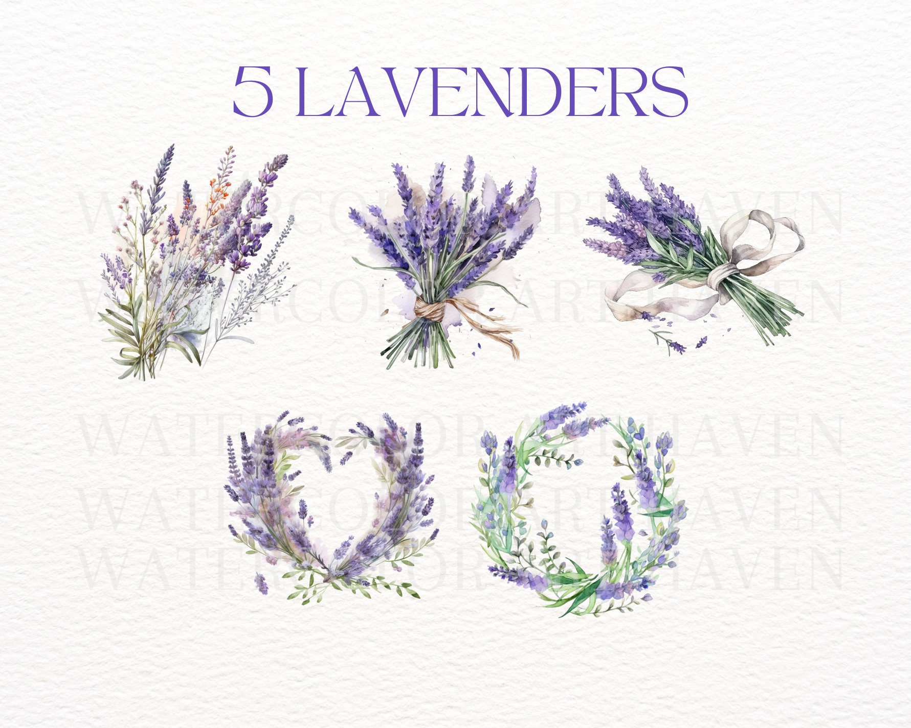 Watercolor Lavender Garden Clipart, Watercolor Lavender PNG, Lavender ...