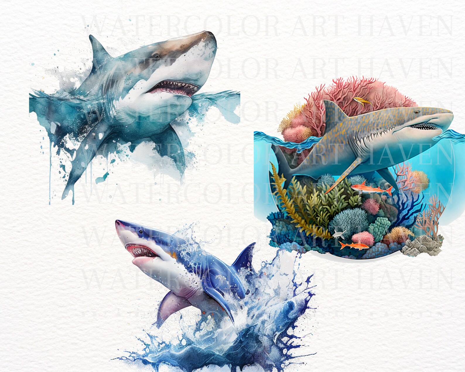 Watercolor Sharks Clipart, Animals, Fish, PNG, Clip Art, Bundle ...