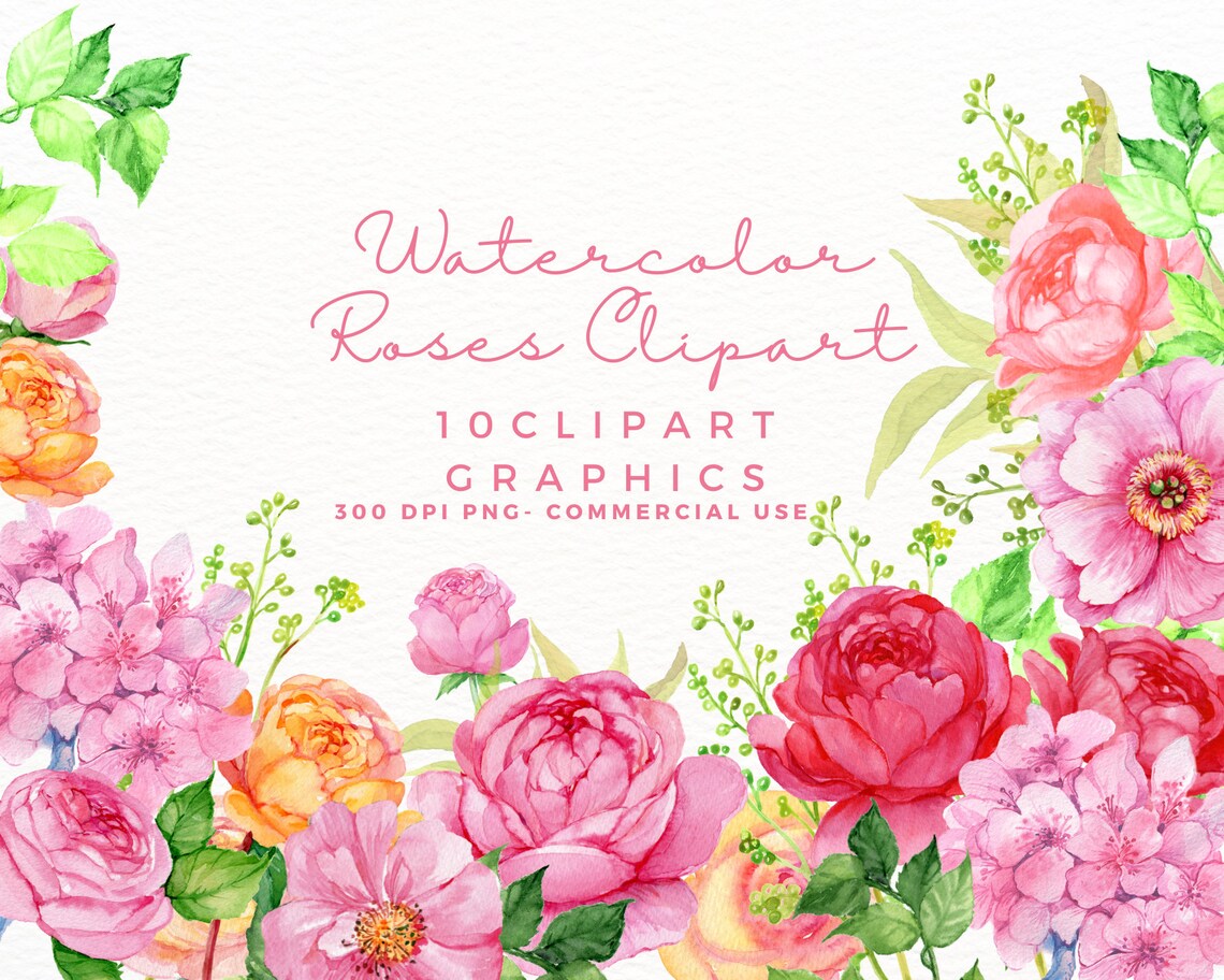 Watercolor Roses Clipart Floral Clipart Roses Clipart Wedding Clipart ...