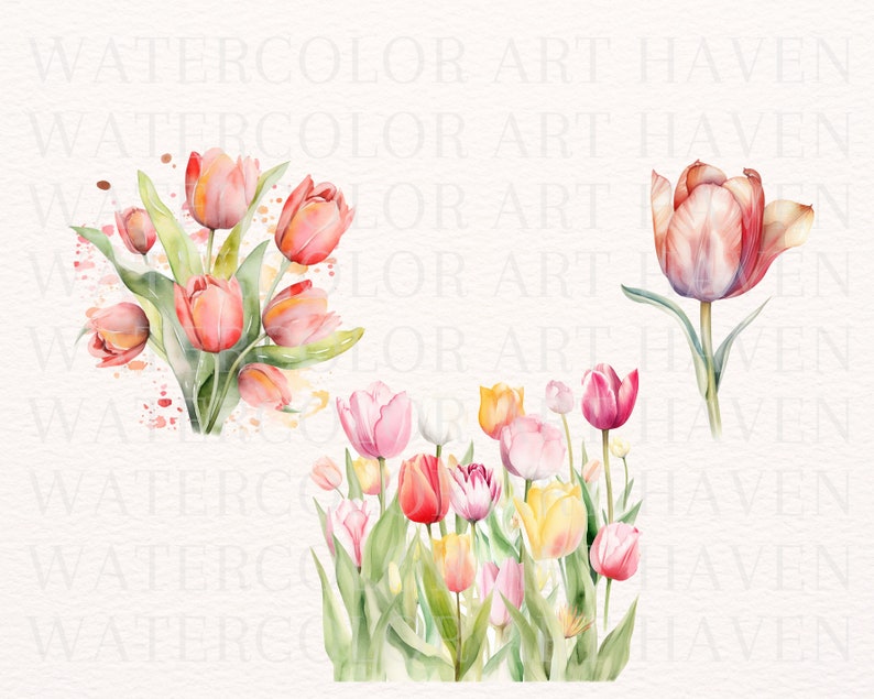Watercolor Tulip Clipart Bundle PNG Commercial Use Clipart - Etsy