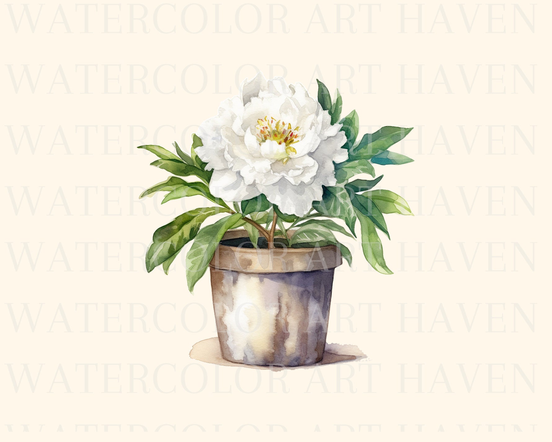 Watercolor Peonies Clipart, Spring Wedding Flowers Clipart Bundle, Wild ...