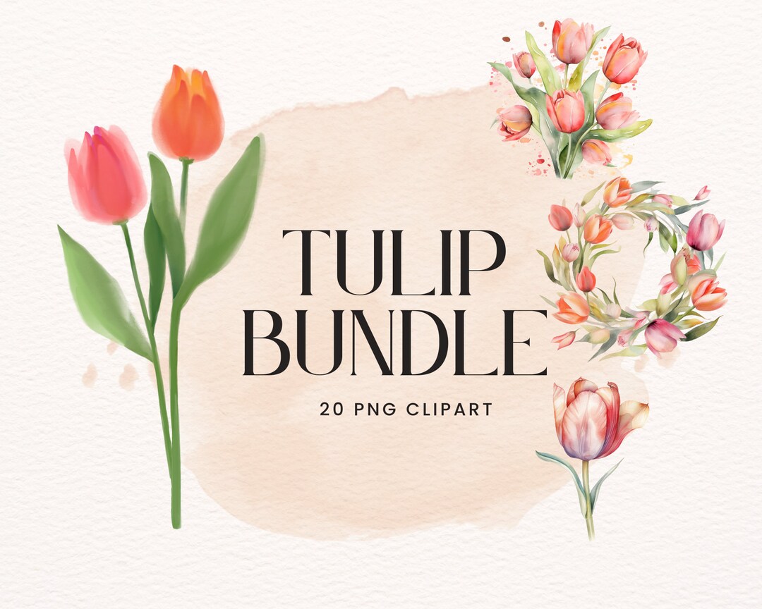 Watercolor Tulip Clipart Bundle PNG - Commercial Use Clipart, Digital ...