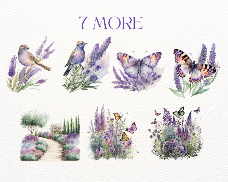 Watercolor Lavender Garden Clipart, Watercolor Lavender PNG, Lavender ...